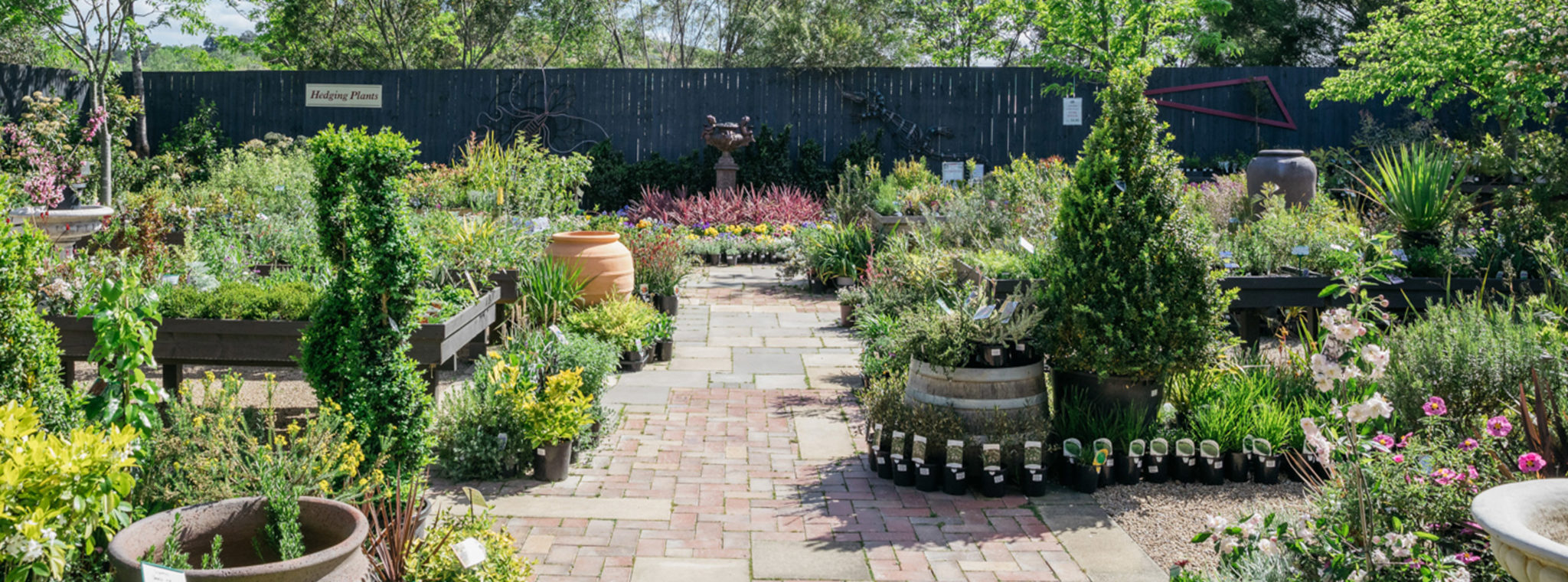 Alowyn Gardens | Nursery